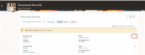 how can we enable preview button on document of records after 24b