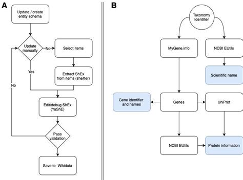 Flow Diagram For Entity Schema Development And The Executable Download Scientific Diagram