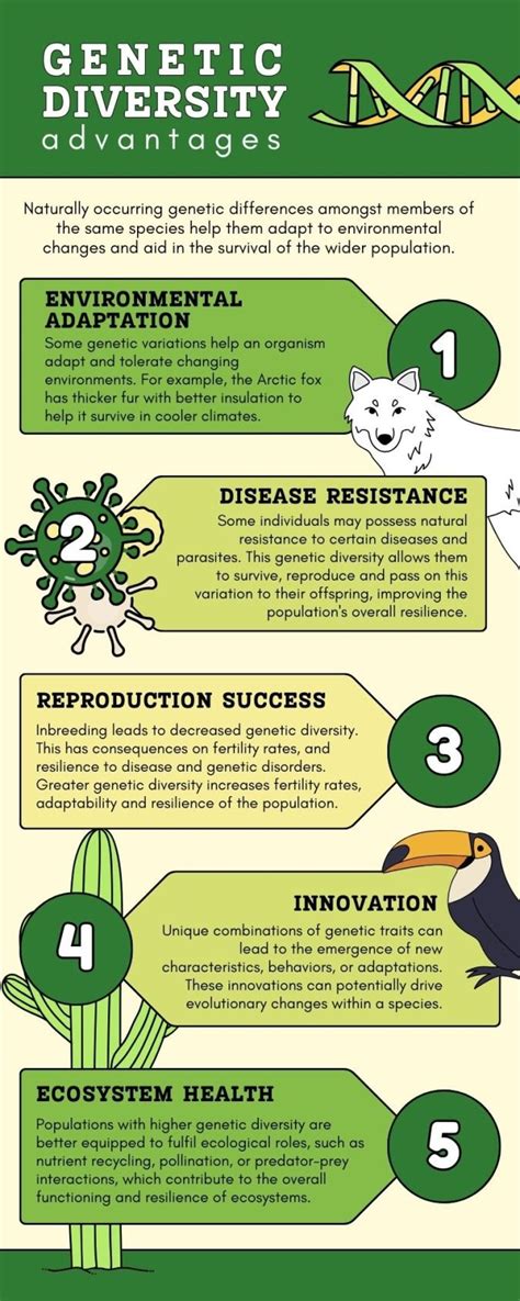 Genetic Diversity Examples What Is Genetic Biodiversity Genetic