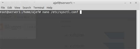 Routing To Debian Router In Virtualbox And Web Server On Engine X