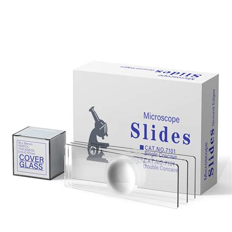 Microscope Single Concave And Frosted Slides Bioweb Usa