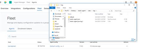 Ingest Management Agent With Online Offline Status Also Appears