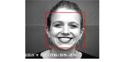 Output Of The OpenCV Face Tracker Download Scientific Diagram