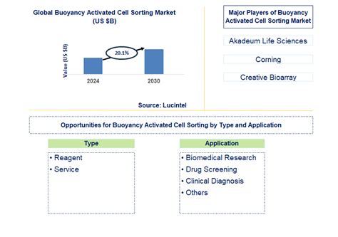 Buoyancy Activated Cell Sorting Market Report Trends Forecast And