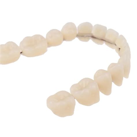 【3c Victoryeagle】denture Upper Lower 28pcsset Artificial Contoured