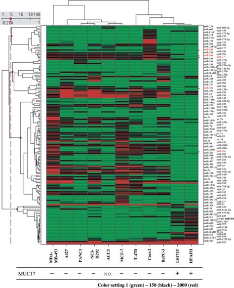 Dna Methylation And Histone H3 K9 Modifications Contribute To Muc17