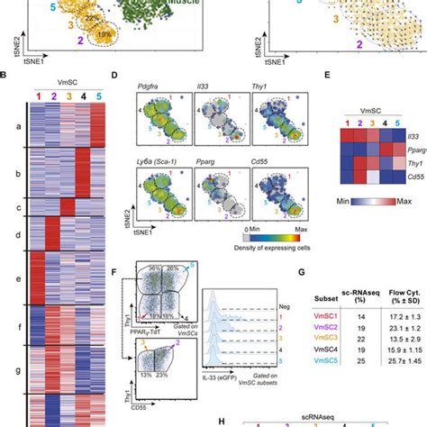 Diane Mathiss Research Works Harvard Medical School Ma Hms And