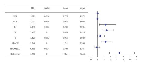 the training and validation sets univariate and multivariate cox