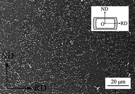 Particle Deformation And Microstructural Evolution Of High Borated