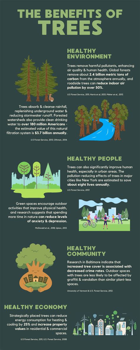 Ways Trees Benefit All Of Us Benefits Of Trees For People Mtsivc