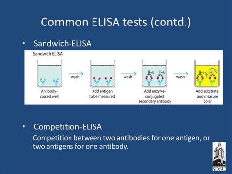 Competitive Elisa Ppt