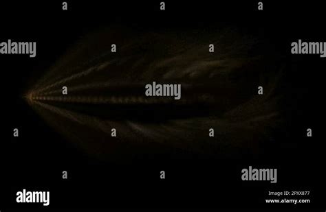 Red Bristle Grass Stock Videos And Footage Hd And 4k Video Clips Alamy