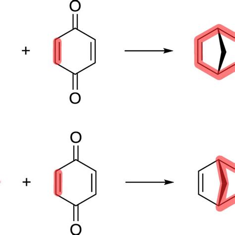 An Example Of The Diels Alder Reaction With A Cyclic Diene Top The