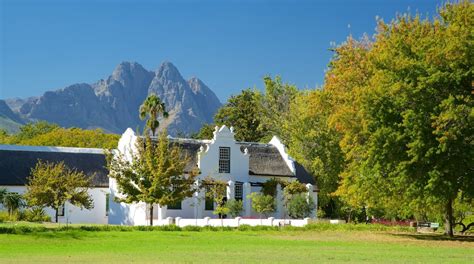 Stellenbosch Travel Guide Best Of Stellenbosch Cape Town Travel 2026