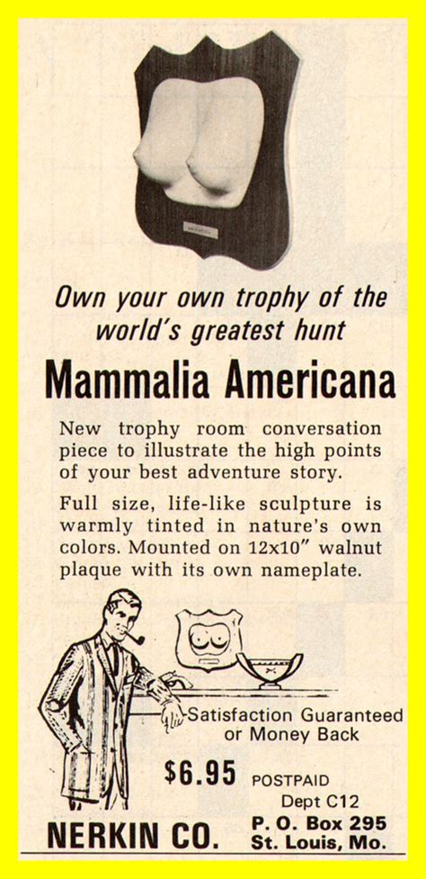 Tippy The Turtle Drawing Test At Getdrawings Free Download