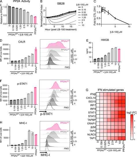 Pp2ac Deficiency Enhances Tumor Immunogenicity By Activating Sting Type