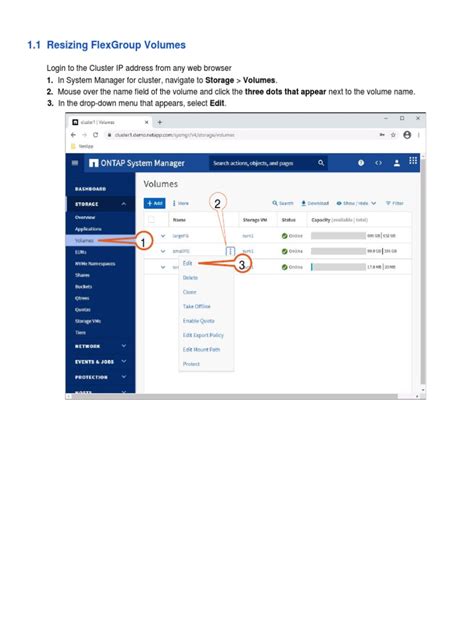 netapp resize volume steps pdf