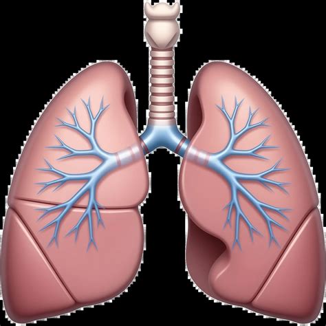 Lungs Breathing Emoji Ai Emoji Generator