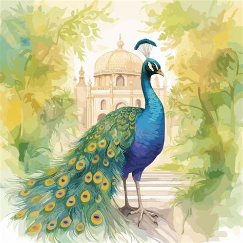 Premium Vector Colorful Peacock Illustration Isolated On A White