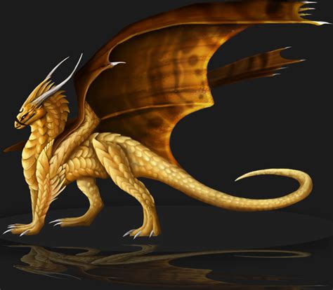 Gold Dragon Anime Beautiful