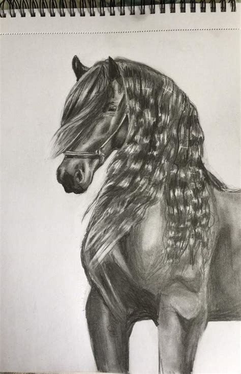 Realistic Drawing Of Horse How To Draw A Horse With Charcoal