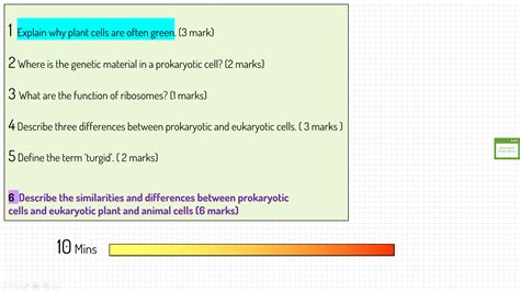 Aqa Gcse New Specification B13 Eukaryotic And Prokaryotic Cells