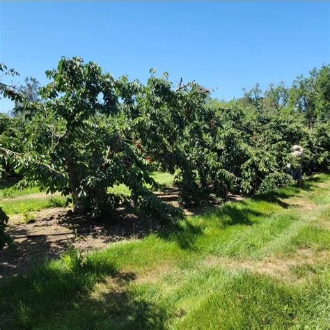 Nancy Knott On Linkedin Perspective Lifelessons