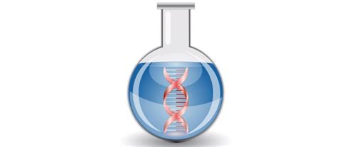 Uv Vis Spectrophotometry Easy And Quick Quantification Of Nucleic