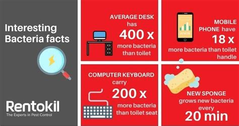 6 Reasons Why Surface Sanitisation And Hygiene Is Essential