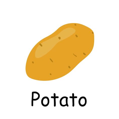 Premium Vector Potato Illustration Flat Vector Vegetables Flashcard