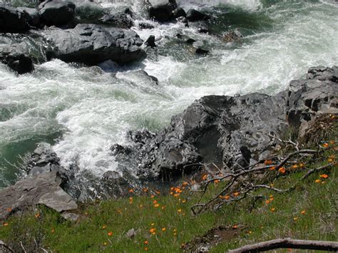 Swimming South Yuba River State Park Bridgeport