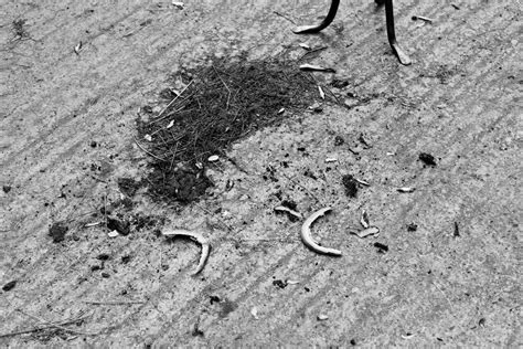 Cumbria Photographer Steven Barber