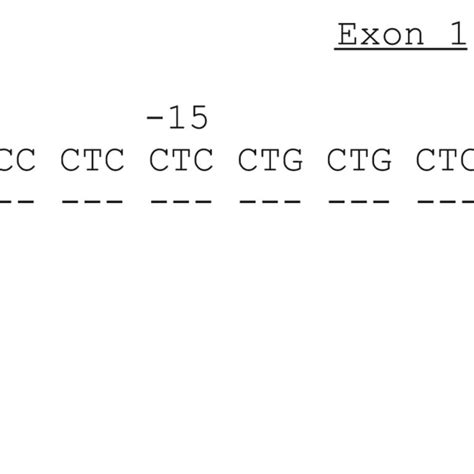 a from exon 1 to exon 4 the dna sequence of b 13 173 is identical to