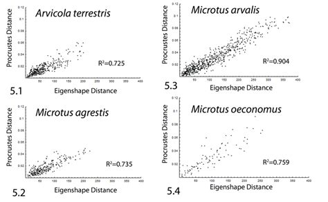 comparison between eigenshape and semilandmark procrustes analysis
