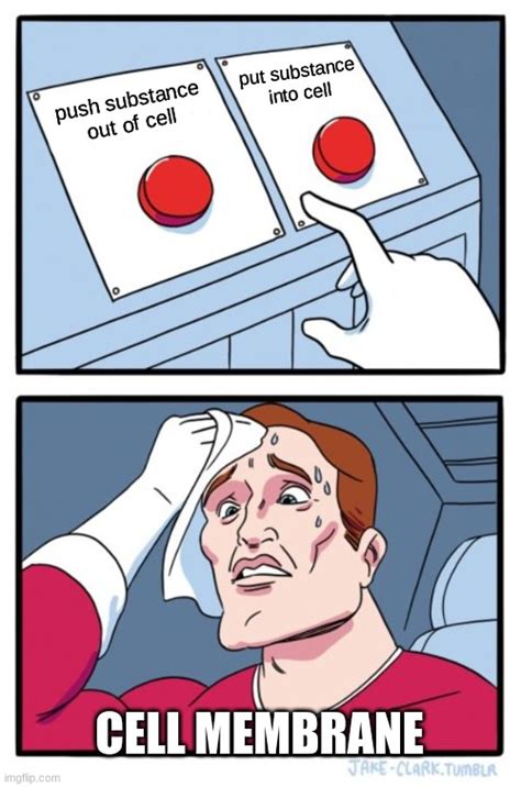 Biology Meme Imgflip