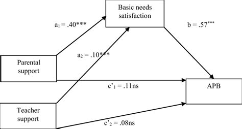 Basic Needs Satisfaction Fully Mediates The Relationship Between