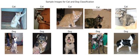 Building A Convolutional Neural Network For Cat Vs Dog Classification