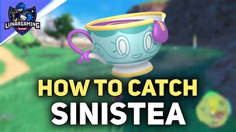 How To Get Sinistea And Get Sinistea Chips Pokemon Scarlet And Violet
