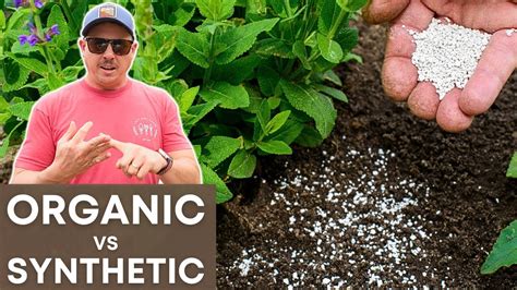 The Pros And Cons Of Organic Vs Synthetic Fertilizers Youtube