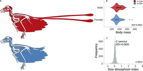 Scientists Have Found New Fossil Evidence For The Role Of Sexual Selection In Early Evolution Of