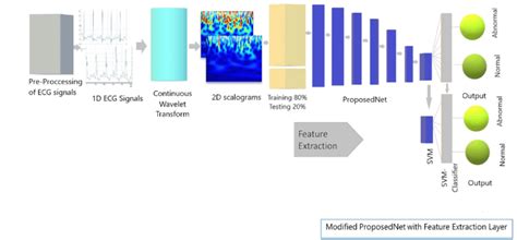 Flowchart Of Ptb Dataset Classification Download Scientific Diagram