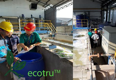 Gallery Ecotru Powerfull Enzymes And Bacteria
