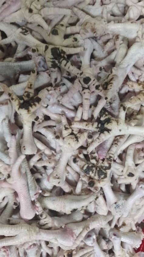 Foot Pad Dermatitis Is A Poultry Disease Caused By Imbalance In