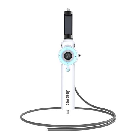 How Does The Veterinary Endoscope Work