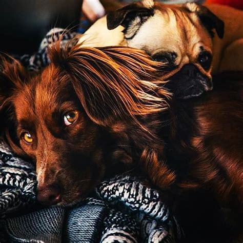 Ana Sequeira Posted On Linkedin