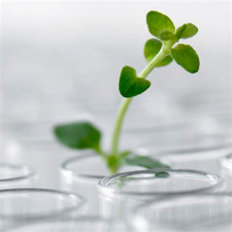 What Makes Our Deloitte Graduate Program Different