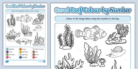 Coral Reef Colour By Numbers Worksheet Teacher Made