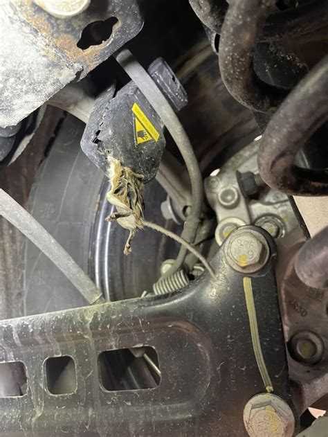 Hes Definitely Not Rolling Out Rjustrolledintotheshop