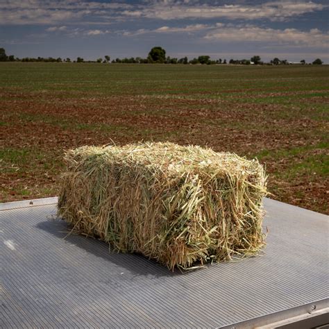 Hay Archives Lowe Farms Farmgate Fodder