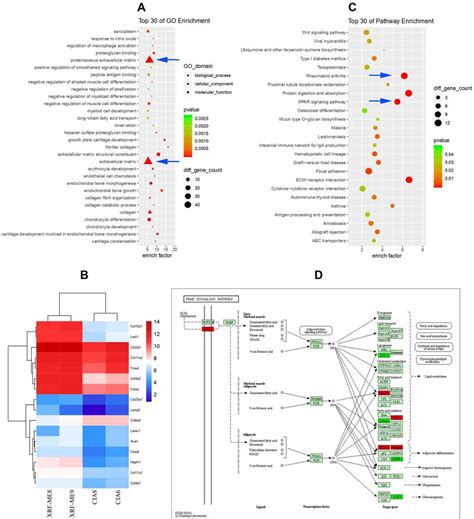 results of genome microarray analysis a go pathway enrichment based